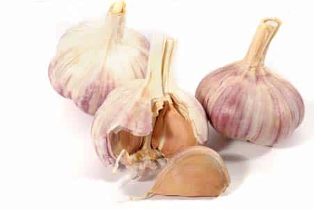 Ail - mes-plantes-medicinales.fr